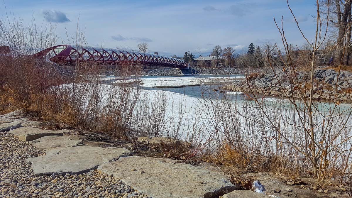Calgary in … spring? – Life: Phase Next