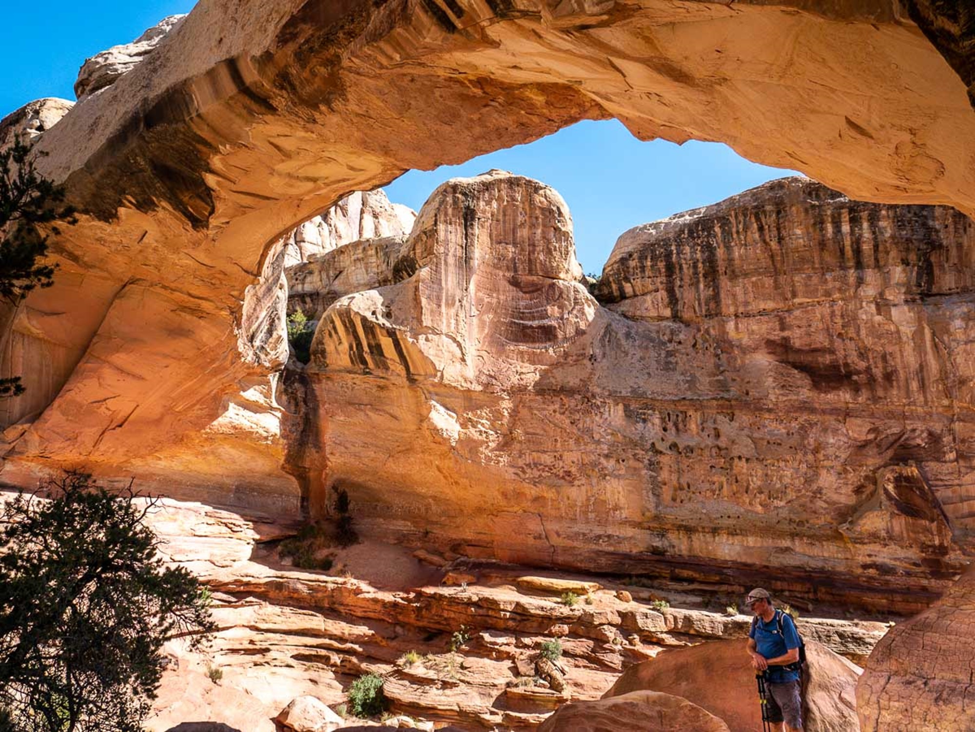 Utah loop road trip: Capitol Reef National Park – Life: Phase Next